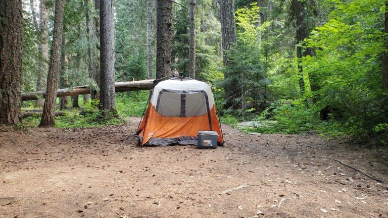 Denver International Airport Ground Stop Causes Travel Chaos Amid ...
